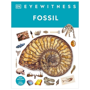 Tải Sách eyewitness - fossil PDF Miễn Phí - Sách General Reference Bán Chạy Nhất