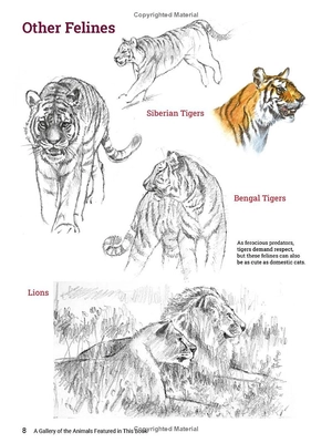 Tải Sách how to draw animals - a visual reference guide to sketching ...