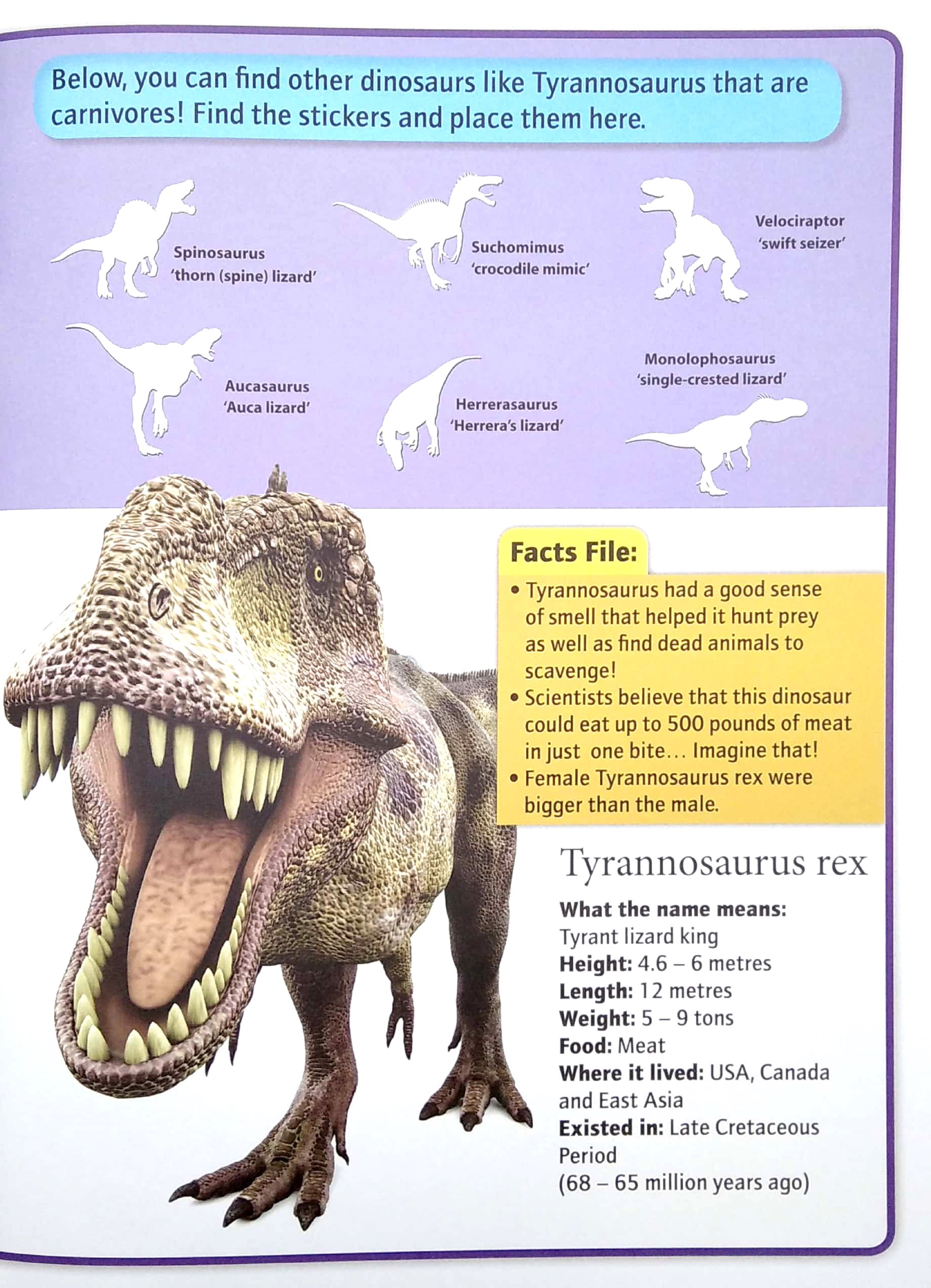 Tải Sách wonders of learning - sticker book - discover dinosaurs PDF ...